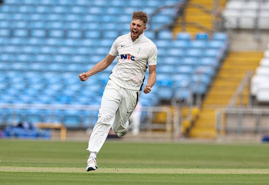 Ben Coad Yorkshire Celebrates Tacking Wicket Editorial Stock Photo ...
