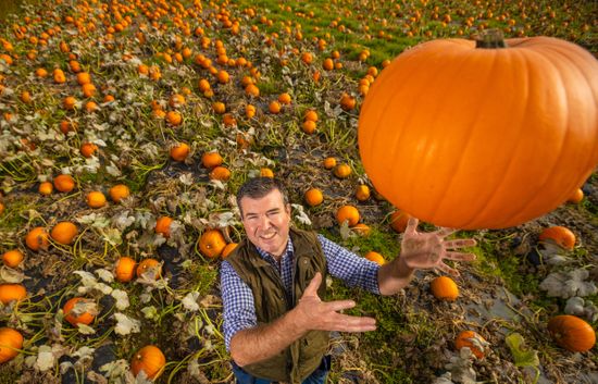 Martin Gaffney Farming Manager Donnelly Fruit Editorial Stock Photo ...