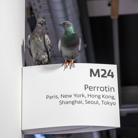Artwork Ghost Taxidermized Pigeons 2021 By Editorial Stock Photo ...