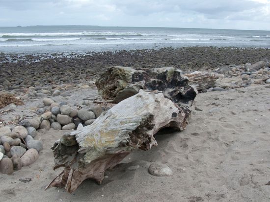 New Zealand October 26 Maketu Spit Editorial Stock Photo - Stock Image ...