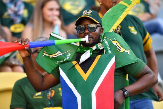 Springboks Fan During Rugby Championship Round Editorial Stock Photo ...