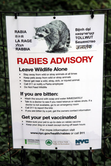 Rabies Advisory Warning Sign Central Park Editorial Stock Photo - Stock ...