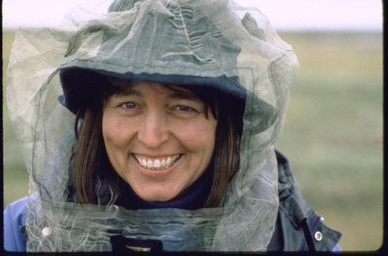Biologist Pat Reynolds Who Specializes Musk Editorial Stock Photo ...
