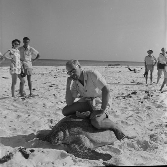 Photographer Fritz Goro C Sitting On Editorial Stock Photo - Stock ...