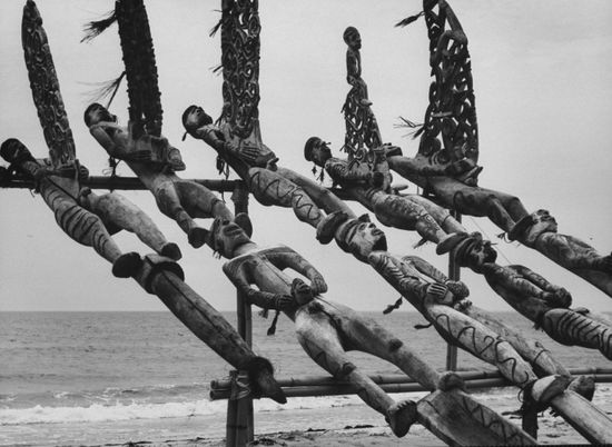 Ancestor Poles Asmat Tribesmen New Guinea Editorial Stock Photo - Stock ...