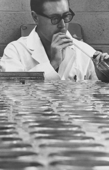 Dr Gib Debusk Biologist Testing Mold Editorial Stock Photo - Stock ...
