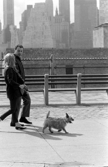 Actor Alan Arkin Walking Woman Dog Editorial Stock Photo - Stock Image ...