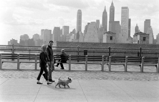 Alan Arkin Woman Walking Dog 1966 Editorial Stock Photo - Stock Image ...