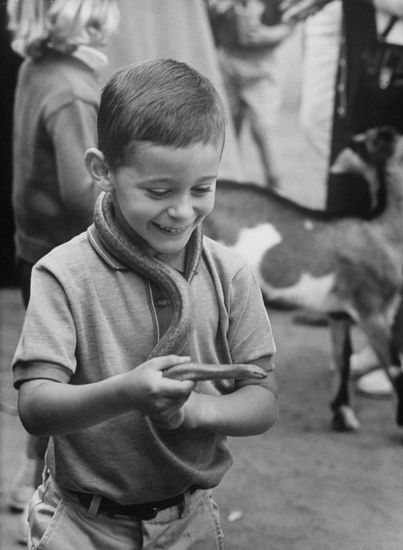 Kid Handling Reptile Snake Childrens Zoo Editorial Stock Photo - Stock ...