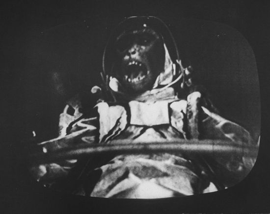 Soviet Space Chimp Clear Helmet Space Editorial Stock Photo - Stock ...