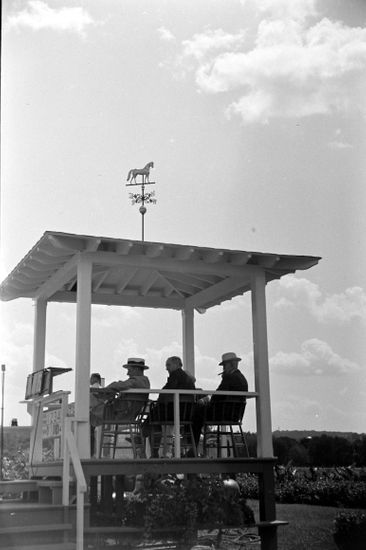 Men Gathering During Harness Racing Historic Editorial Stock Photo ...
