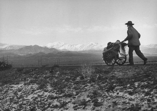 Hobo William Mcdavid Using Wheelbarrow Means Editorial Stock Photo ...