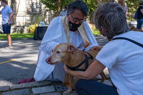 Priest Blesses Dog During Blessing Animals Editorial Stock Photo ...
