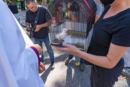 Priest Blesses Dove During Blessing Animals Editorial Stock Photo ...