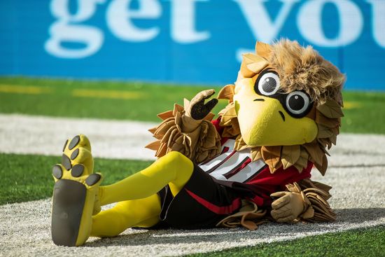 Atlanta Falcons Mascot Freddie Falcon Lays Editorial Stock Photo ...