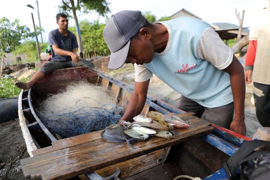 Fisherman Pull Pick Fish Net After Editorial Stock Photo - Stock Image ...