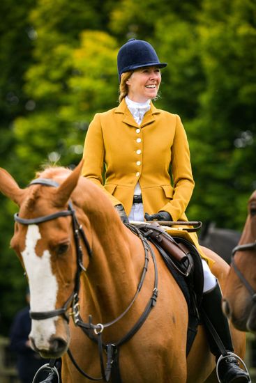 South Downs Bloodhounds Whipperin Amanda Pole Editorial Stock Photo ...