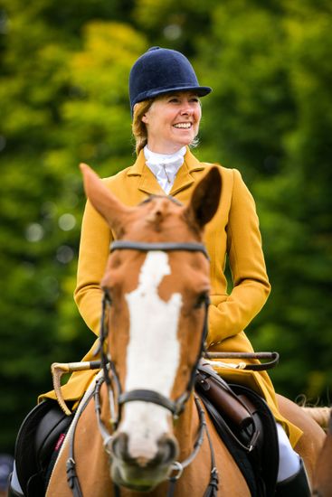 South Downs Bloodhounds Whipperin Amanda Pole Editorial Stock Photo ...