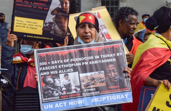 Protester Holds Placard Calling On Un Editorial Stock Photo - Stock ...