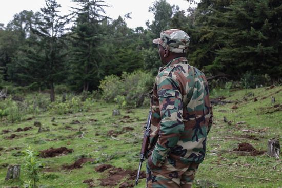 Armed Kenya Forest Service Ranger Stands Editorial Stock Photo - Stock ...