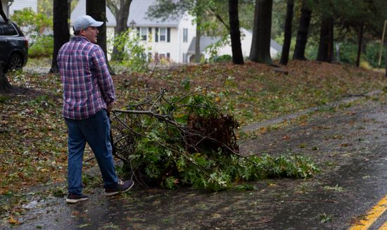 Resident Clears Downed Tree Branches After Editorial Stock Photo ...