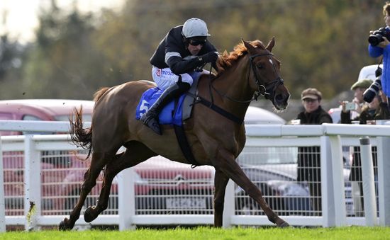 King Ridden By Harry Skelton Race Editorial Stock Photo - Stock Image ...