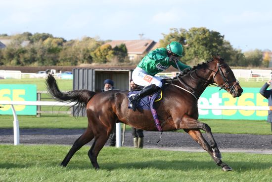 Good Boy Bobby 6 Ridden By Editorial Stock Photo - Stock Image ...