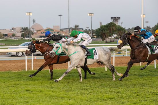 Af Soqrat Ae Ridden By Malin Editorial Stock Photo - Stock Image ...