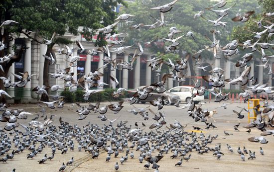 Morning View Connaught Place Area On Editorial Stock Photo - Stock ...