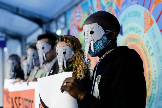 Wwf Holds Protest We Wont Forget Editorial Stock Photo - Stock Image ...