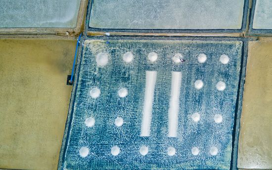 Workers Photographed Sky They Rake Salt Editorial Stock Photo - Stock ...