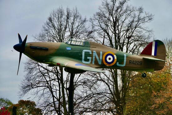 Gull Sits On Cockpit Hawker Hurricane Editorial Stock Photo - Stock ...