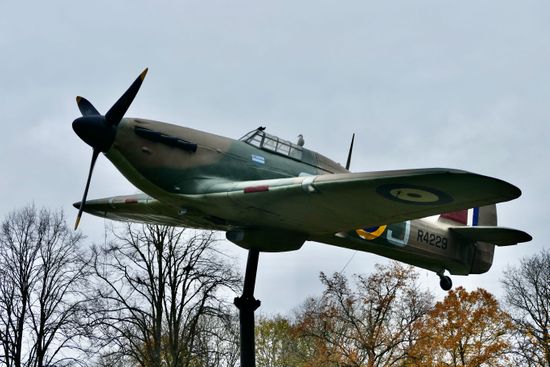 Gull Sits On Cockpit Hawker Hurricane Editorial Stock Photo - Stock ...