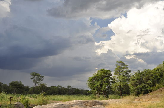 Bush Rain Clouds Gathering Zimbabwe Editorial Stock Photo - Stock Image ...