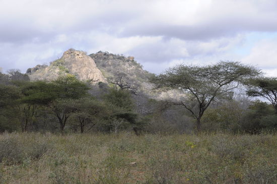 Bush Rain Clouds Zimbabwe Editorial Stock Photo - Stock Image ...