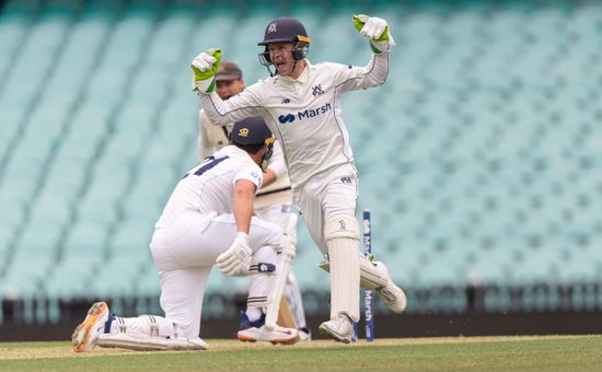 Sam Harper Victoria Celebrates Wicket During Editorial Stock Photo ...