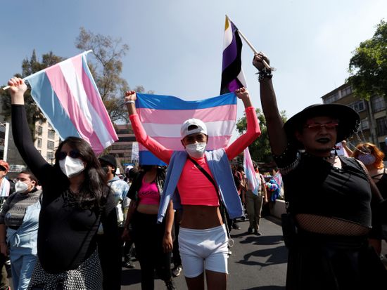 Members Supporters Lgbt Community Protest Framework Editorial Stock ...