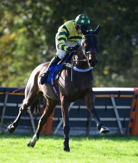 Gorcombe Moonshine Ridden By Max Kendrick Editorial Stock Photo - Stock ...