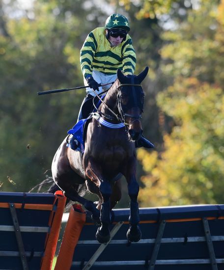 Gorcombe Moonshine Ridden By Max Kendrick Editorial Stock Photo - Stock ...