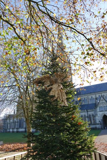 Angel Christmas Tree Outside Salisbury Cathedral Editorial Stock Photo ...