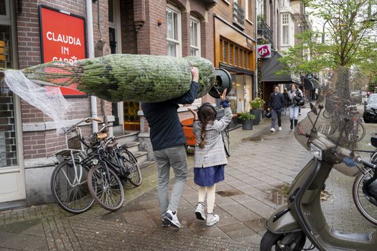 Customers Carry Christmas Tree On Tricycle Editorial Stock Photo ...