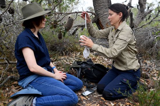 Australian Wildlife Conservancy Ecologist Viyanna Leo Editorial Stock ...