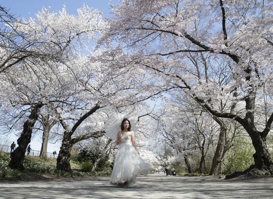 Content Creator Peony Lee Poses Photos Editorial Stock Photo - Stock ...