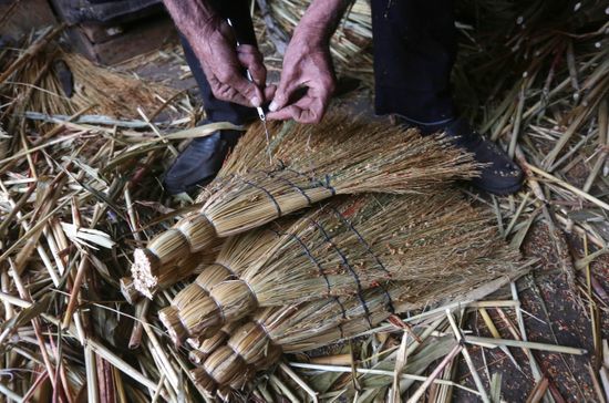Palestinian Man Makes Traditional Straw Brooms Editorial Stock Photo ...