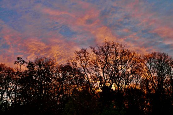 Candy Floss Coloured Skies Daybreak Over Editorial Stock Photo - Stock ...
