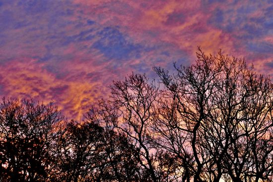 Candy Floss Coloured Skies Daybreak Over Editorial Stock Photo - Stock ...