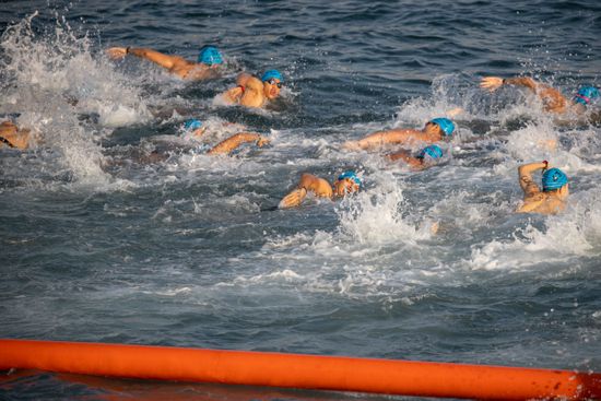 Competitors Take Part New World Harbour Editorial Stock Photo - Stock ...