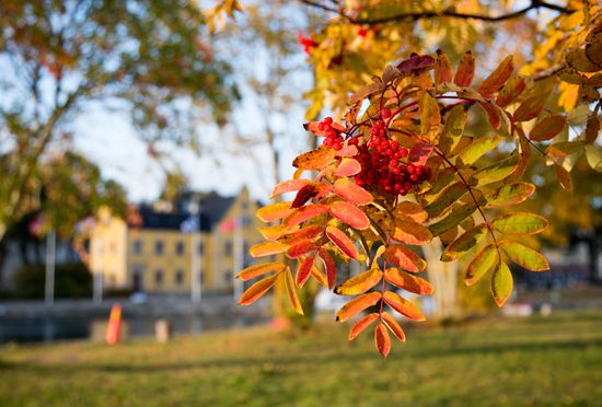 Autumn Colors Harbor City Motala Sweden Editorial Stock Photo - Stock ...