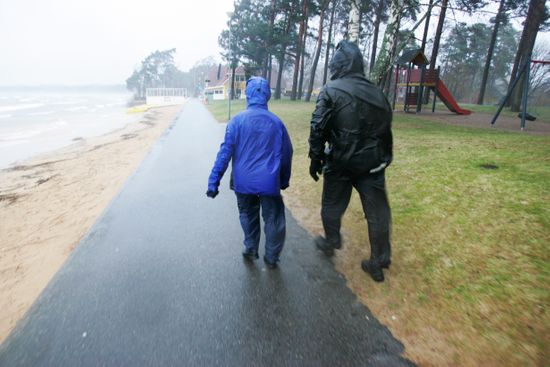 Hard Winds When Storm Per Pulled Editorial Stock Photo - Stock Image ...