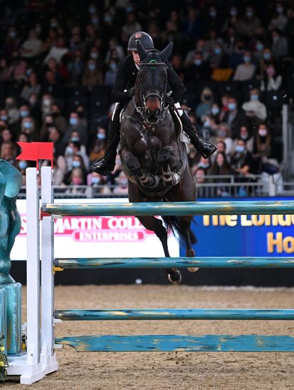 Anthony Condon Irl Riding Queen Mary Editorial Stock Photo - Stock ...